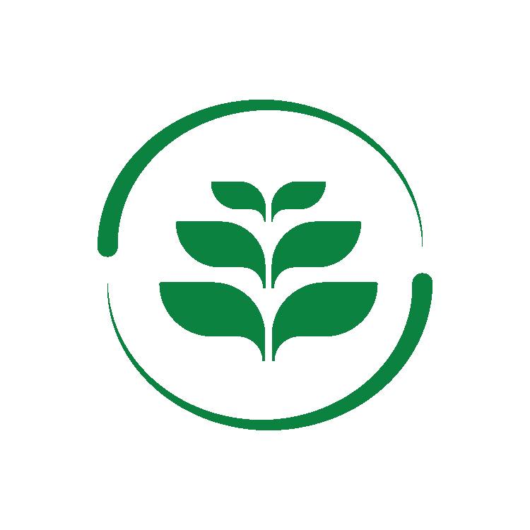 Cassava Kitchen